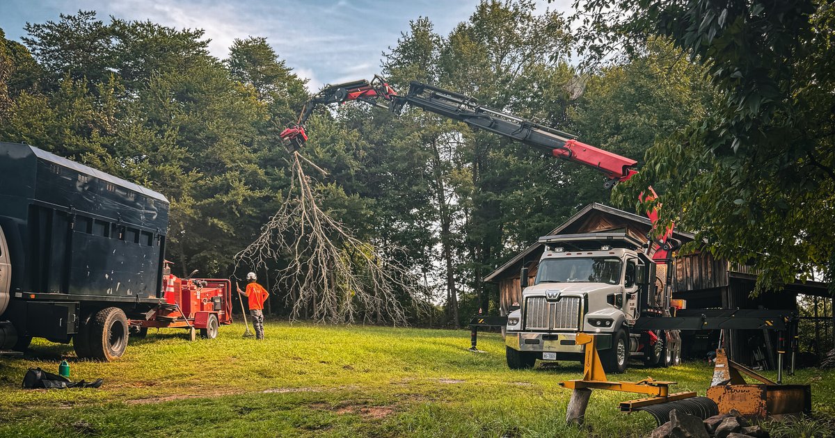 Tree Services | Fisher's Tree Service